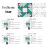 9 Patch Indiana Star Quilt Block - Freemotion by the River