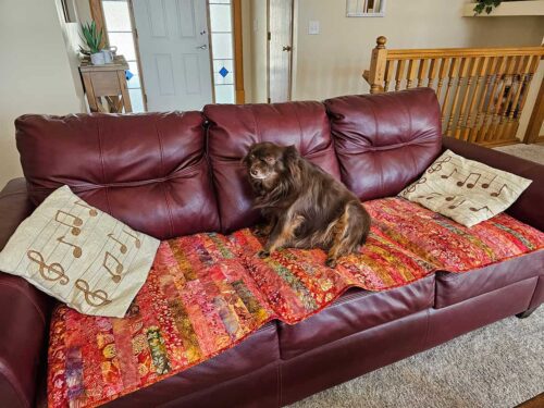 Monarch Sofa Quilt - Freemotion by the River