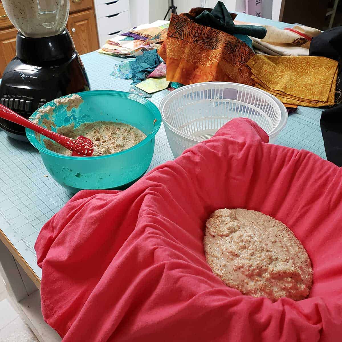 Acorn Quilt Block and Cookies - Freemotion by the River