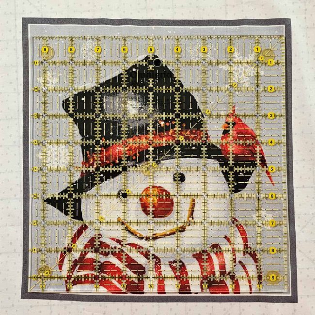 Quilted Cow Snowman Table Topper - Freemotion by the River